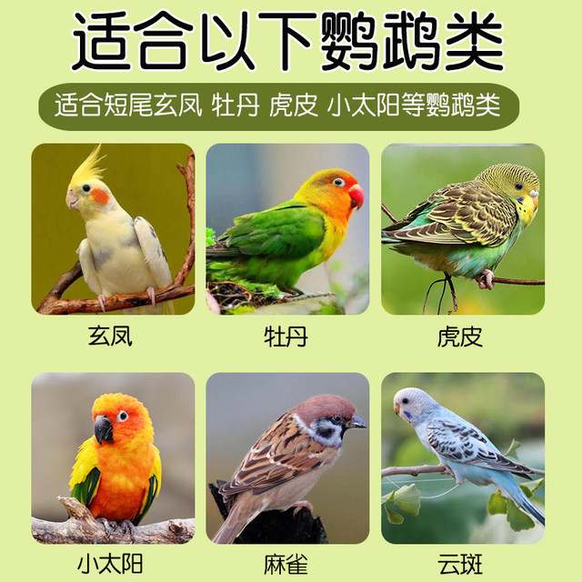 Tiger Parrot Running Wheel Toys Refreshing Self -Hi Peony Bird Rotor ...