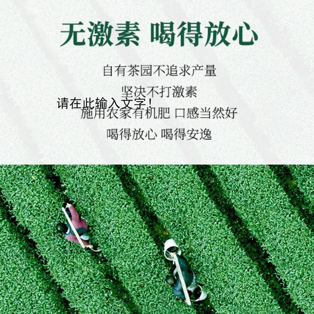 Yongchuan Xiuya Official Flagship Store Tea Special Grade 2024 New Tea ...