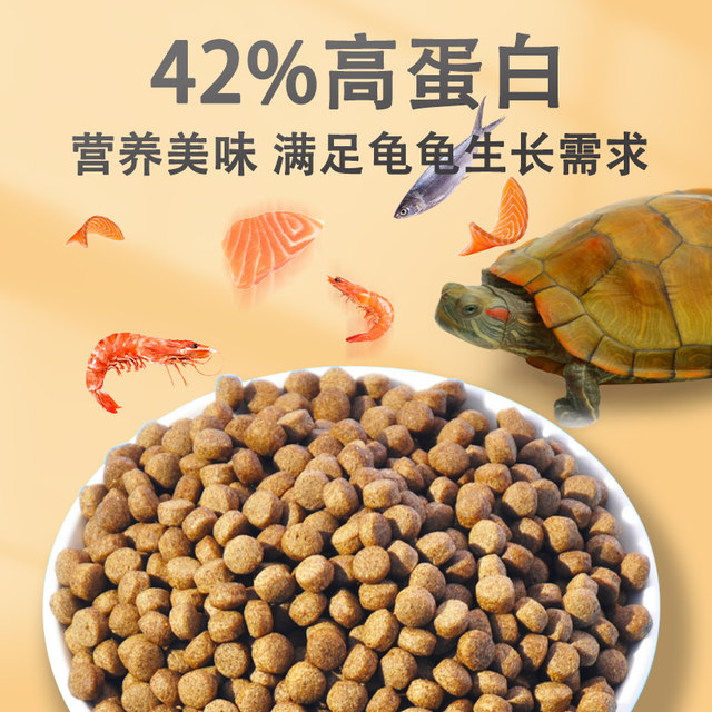 Turtle grain stone money turtle feed yellow throat, turtle turtles ...