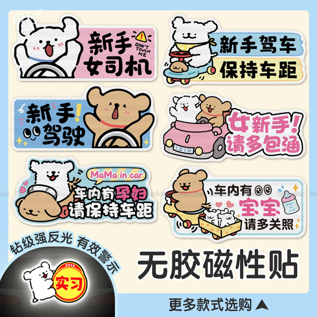 Internship car sticker for beginner on the road female driver cute ...