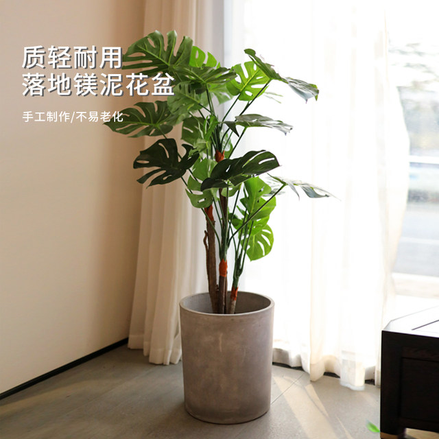 Aixy cement flowerpot Nordic style phoenix turtle back bamboo paradise ...