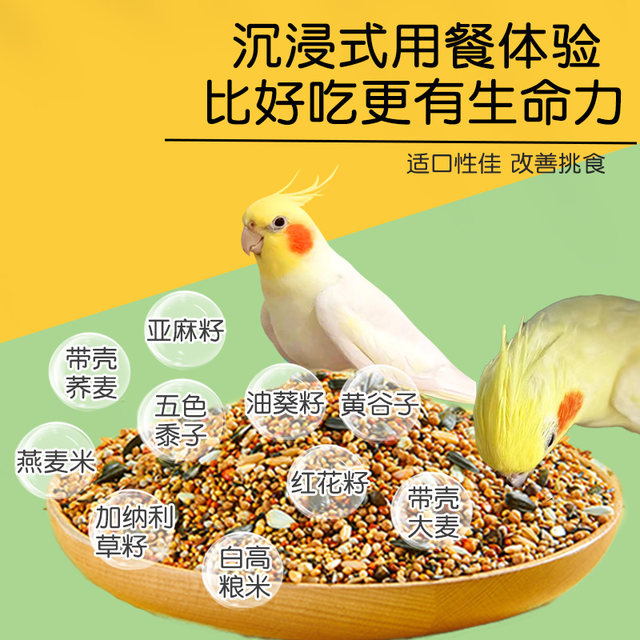 Cockatiel special grain bird grain nutrition feed millet mixed small ...