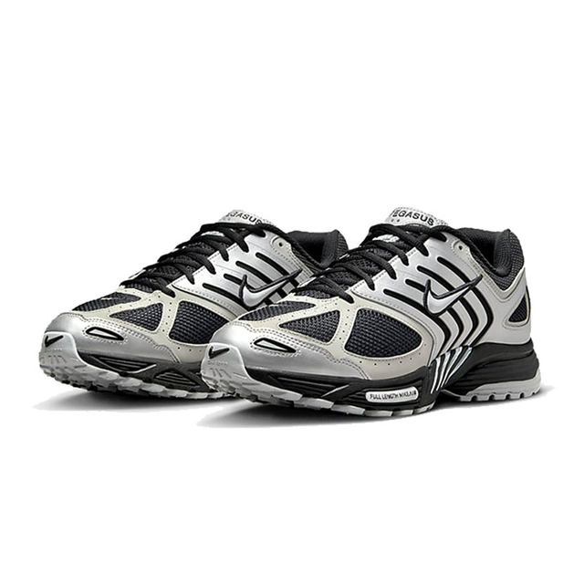 Nike Nike Winter Men's PEGASUS 2005 Sports and Leisure Training Running ...