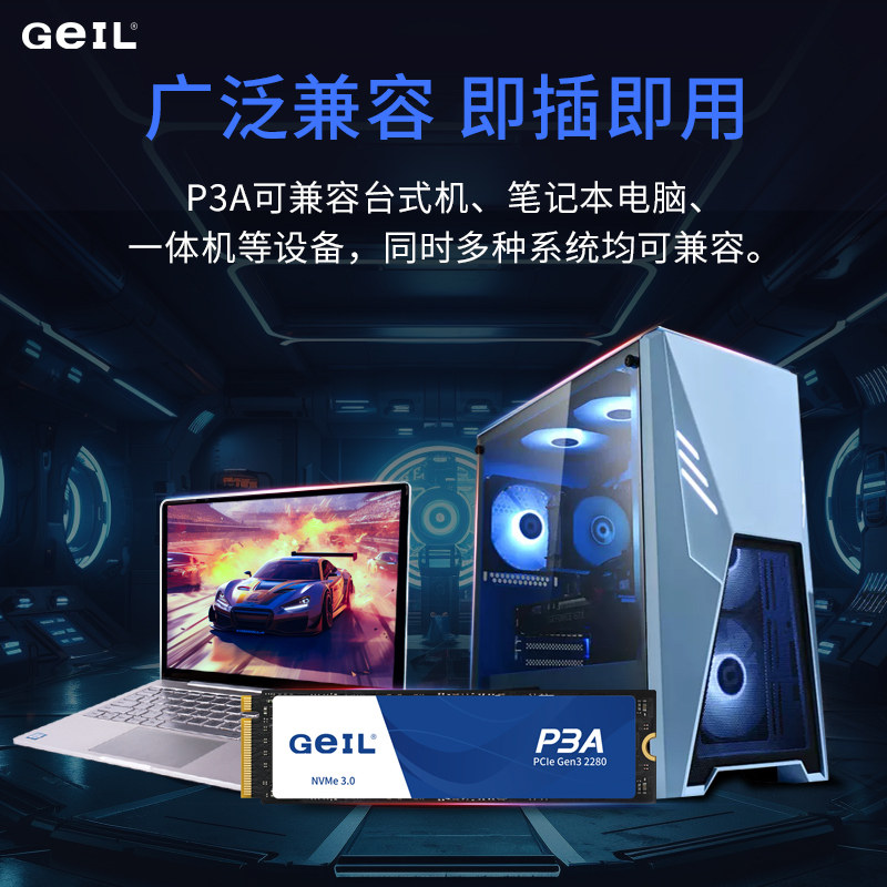 Igo Geil P3a 1TB M.2 NVMe SSD - High Performance Solid State Drive