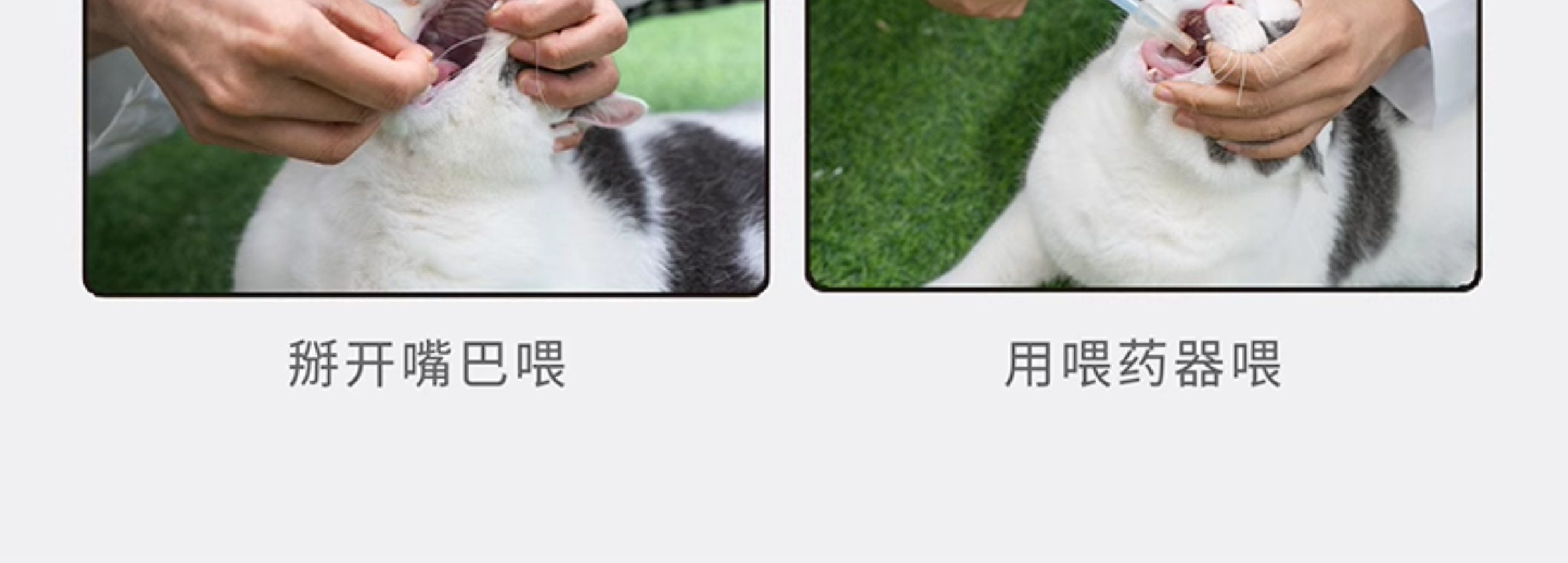 Aiwalker internal and external deworming cat ear mite deworming drops Bayer deworming cat Hailemiao