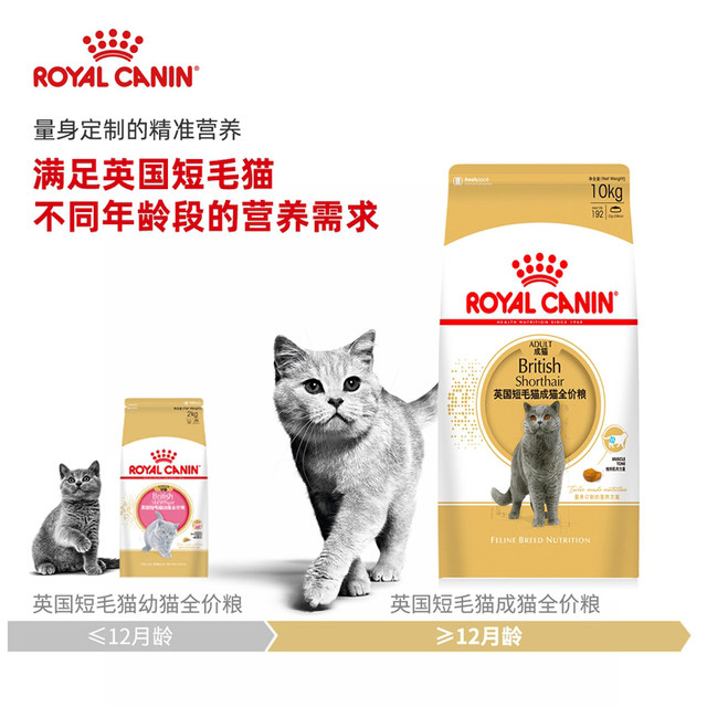 Royal cat food BS34 British short hair cat special blue cat British short American short adult ...