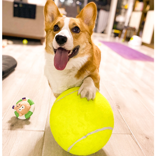 Dog Toy Ball Inflatable Tennis Super Large Corgi Fighting Dog Toys To ...