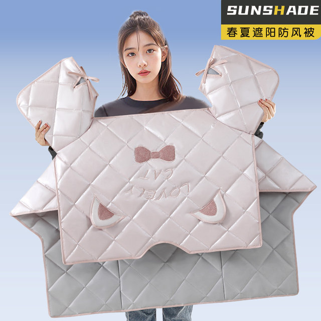 Luyuan Electric Vehicle Sun Protection and Wind Shield Summer Battery ...