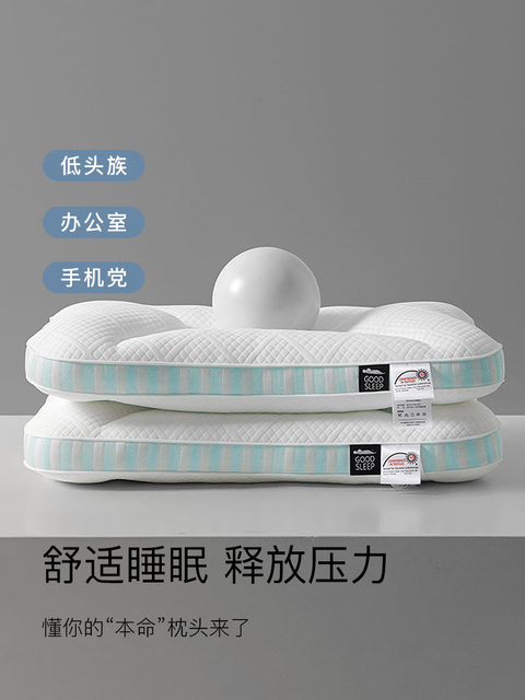 Jialiya SPA deep sleep memory pillow cervical vertebra support sleep ...