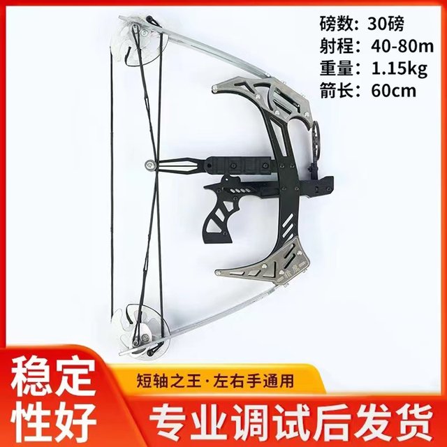 Mini portable compound bow, small folding compound bow, high power ...