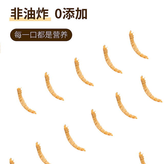 Starling bird food feed snacks dried breadworm luxury package starling ...