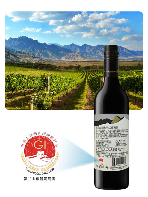 Helan Mountain Donglu Wine 375ml Cabernet Sauvignon Dry Red Ningxia Red ...