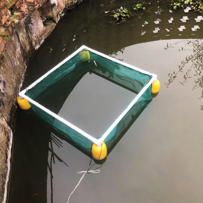 Net Cage Fish Box Aquaculture Fish Storage Fishing Isolated Temporary ...