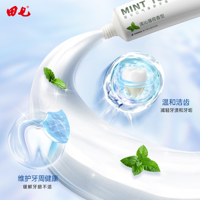 Tianqi fresh breath Chinese medicine toothpaste mint 120g to remove ...