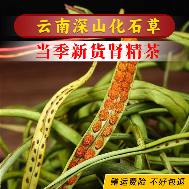 New Product from Deep Mountains in Yunnan: Fossil Grass Kidney Essence ...