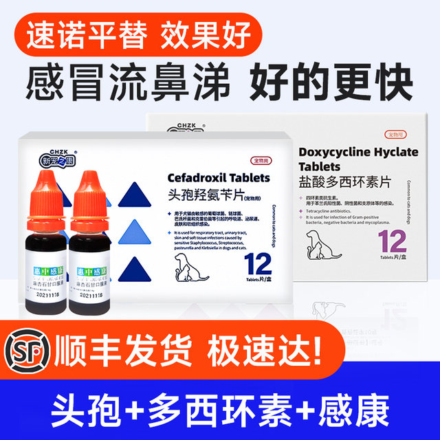 Spear cat nasal branch treatment cat cold medicine Speho anti ...