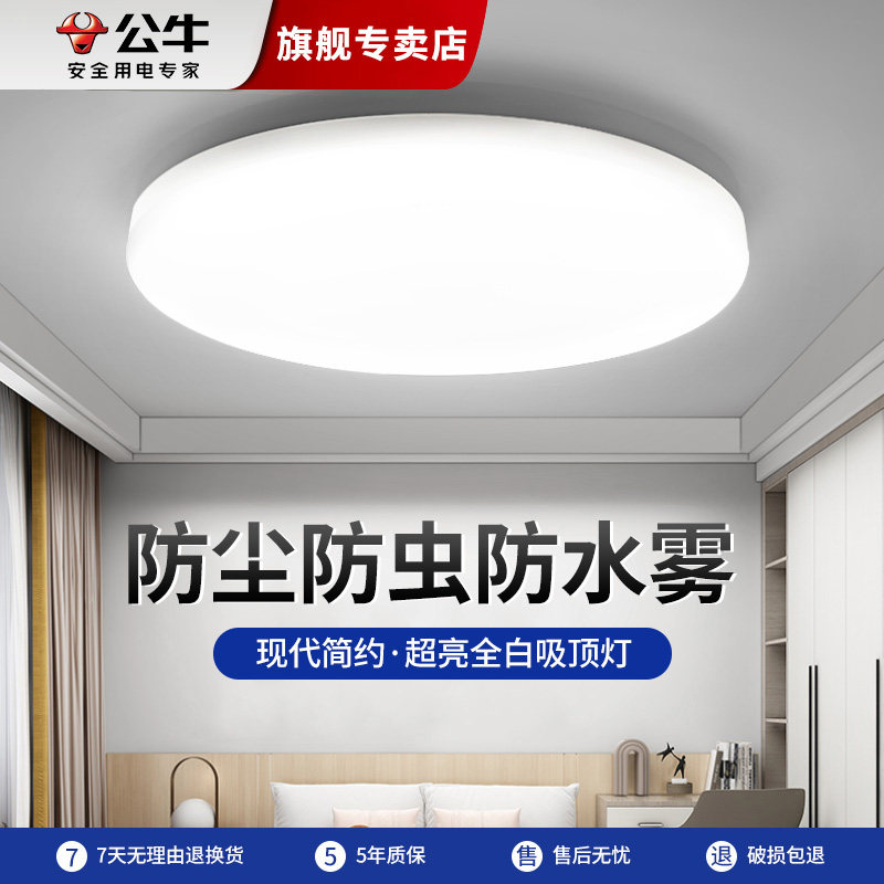 Bull LED Round Ceiling Light - Bedroom, Kitchen, Bathroom - 21-30W