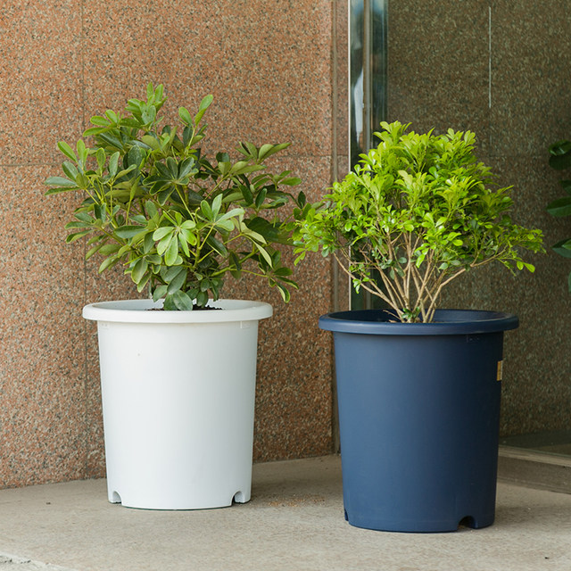 Alice Deeppot deep high-tube root-controlled flowerpot rose clematis ...