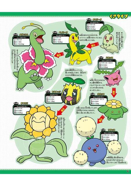 Spot imported Japanese Pokémon Pokemon Illustrated Guide 1020+