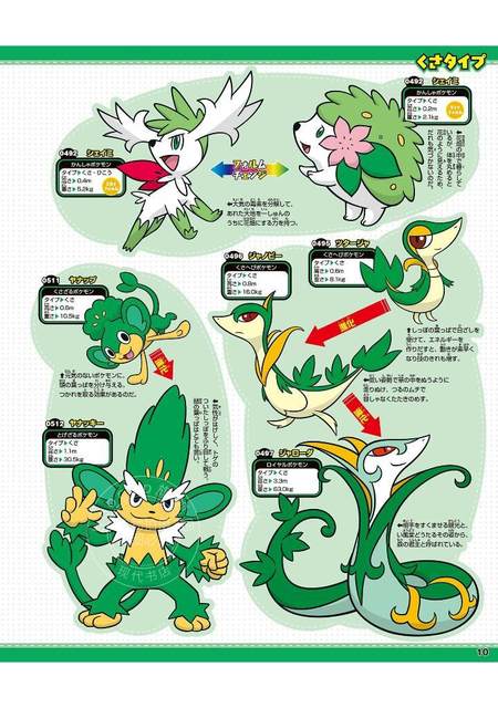 Spot imported Japanese Pokémon Pokemon Illustrated Guide 1020+