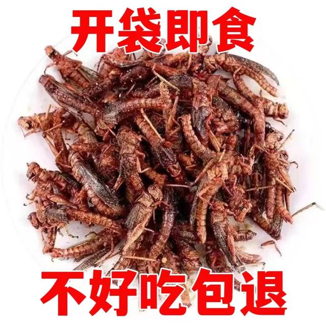 Fresh grasshoppers fried ready-to-eat crispy locusts edible ready-to ...