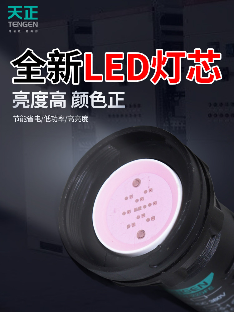 Tengen TGAD56-22DF Discharge Indicator Light - Reactive Power Capacitor ...