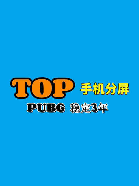 PUBG PUBG TOP web page split screen radar anchor accompanying play ...