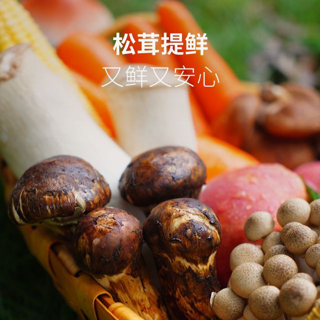 Qingxinhu Songxian Fresh Matsutake Seasoning 1kg Big Bag Packaging ...