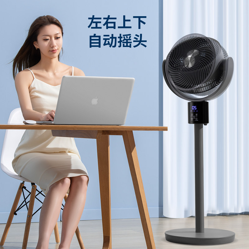 German Air Circulation Fan Floor-Standing Electric Fan Remote Control ...