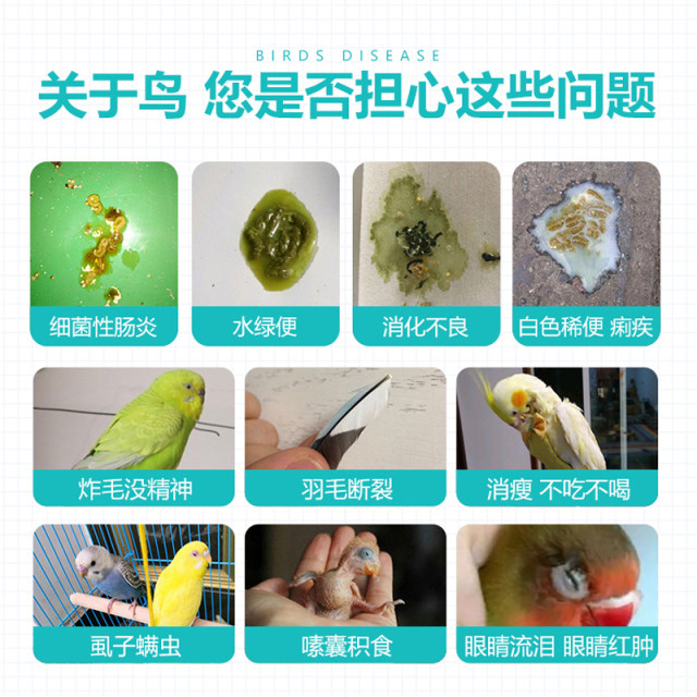 Heart-to-heart parrot medicine, diarrhea medicine, electrolytes ...