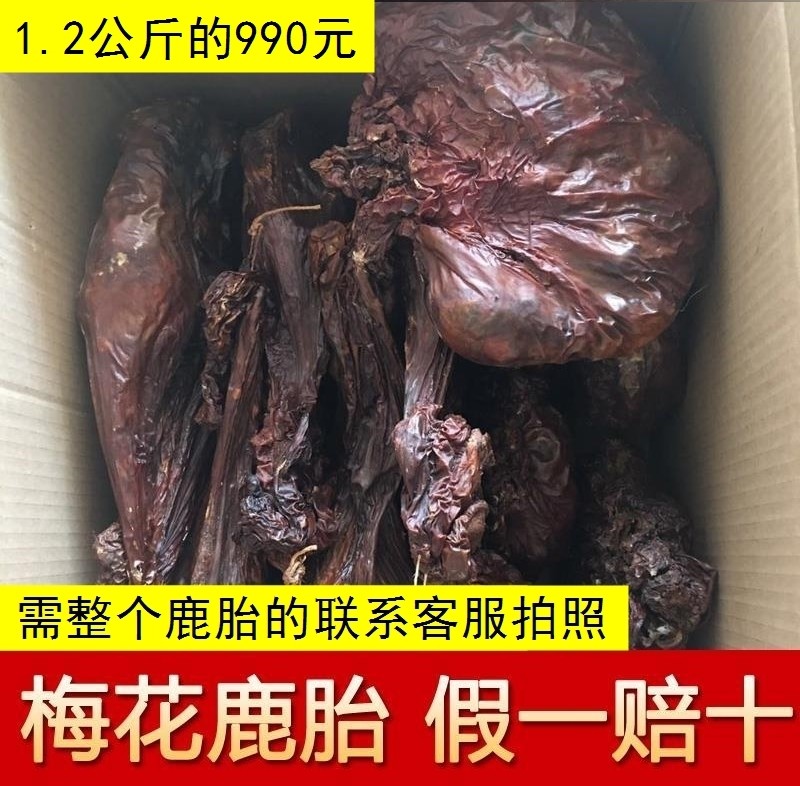 100g Northeast pure deer fetal powder sika deer whole deer placenta ...