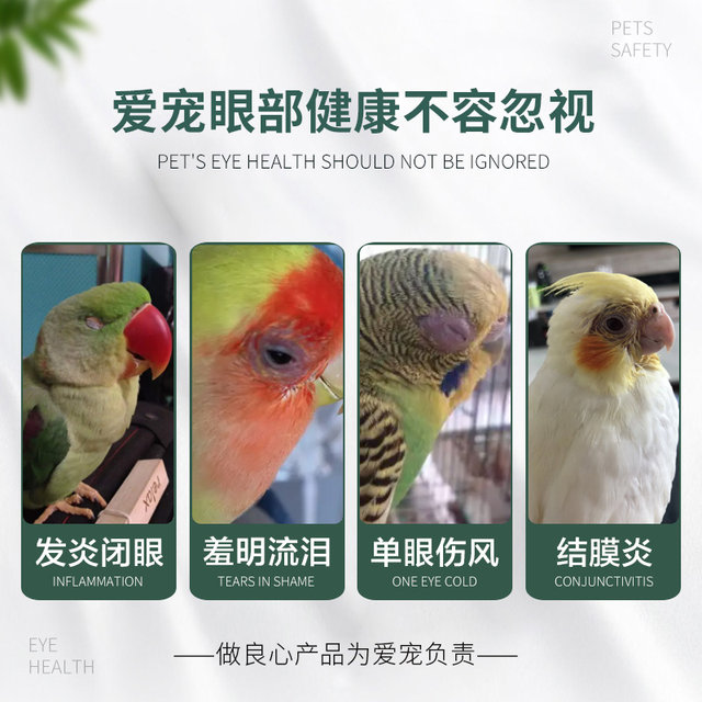 Parrot eye disease one-eyed cold one drop of spiritual eye tears ...