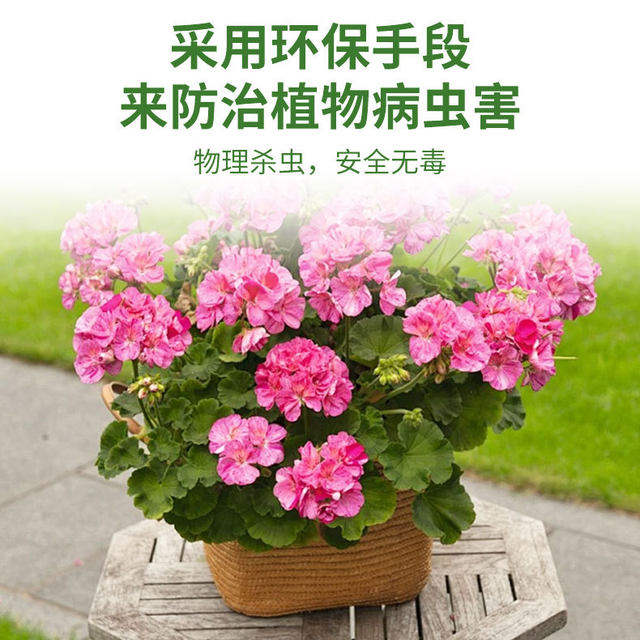 Small black flying insect board flower pot powerful double-sided insect ...