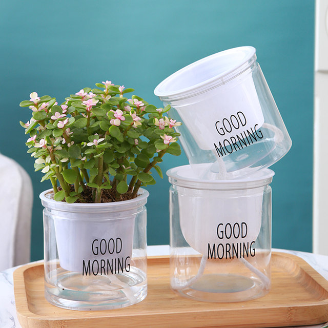 Lazy flower pots automatically absorb water green radish water-free ...
