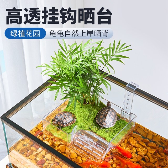 Ultra-white glass turtle breeding tank new type fish and turtle mixed ...