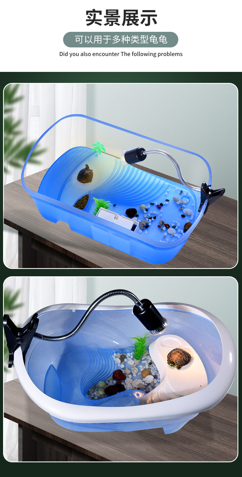 Turtle tank small home with climbing platform brazilian pot | Xu bo ...