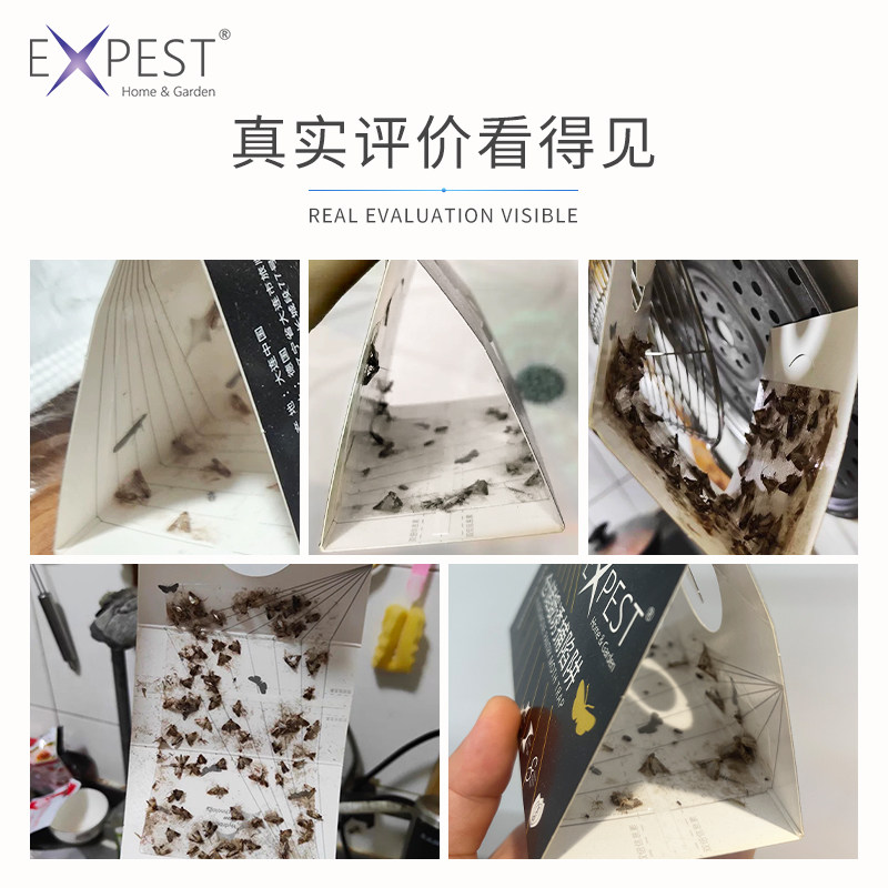 Expest Moth Trap - Rice Moth Killing Artifact with Sticky Board