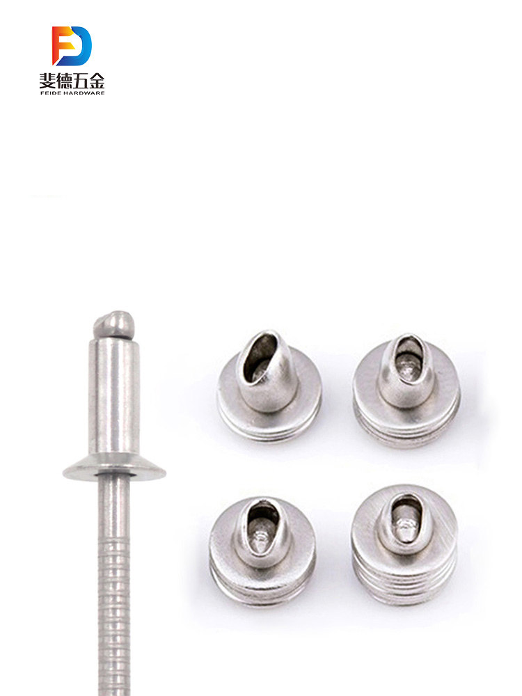 Rivets en Acier Inoxydable Feder - Rivet à Tirage de Noyau 304 Tête ...