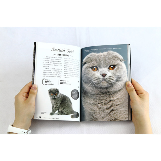 Cat Encyclopedia Cat Illustrated Book 48 World Famous Cat Illustrated ...