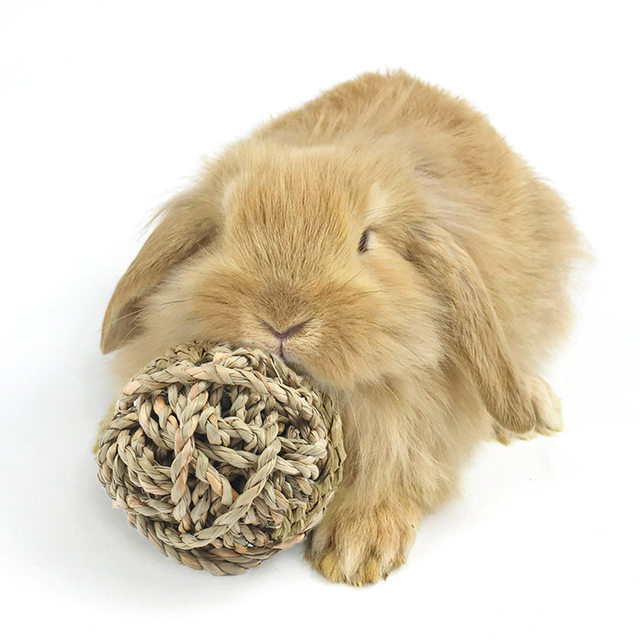 Timothy Grass Ball Rabbit Natural Seagrass Ball Handmade Teething Toy ...