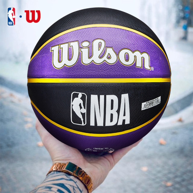 Wilson Wilson NBA Basketball No. 7 Los Angeles Lakers Team Emblem ...
