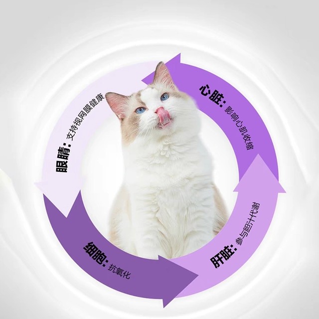 Weishi Cat Compound Taurine Tablets 200 Tablets Kittens Enhance Vision ...