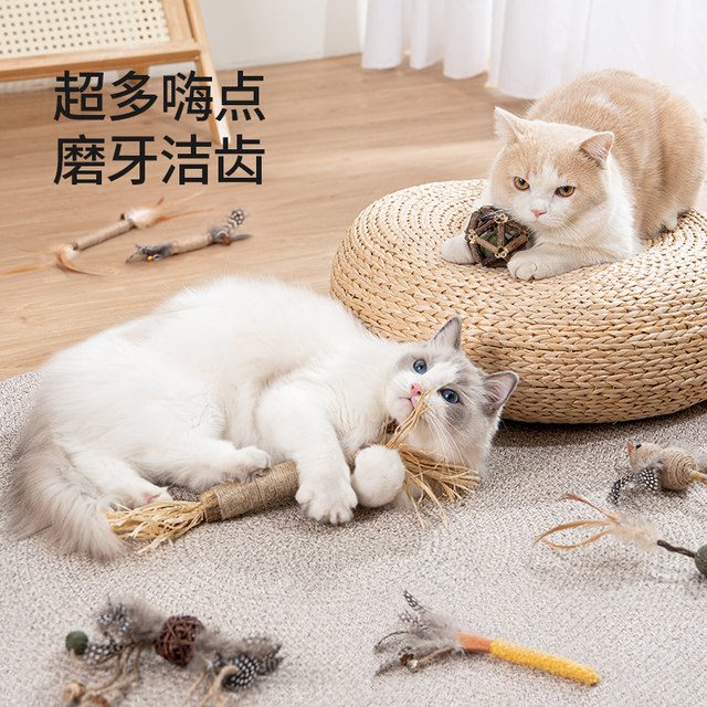 Mango Mango Pet Mutian Polygonum Cat Toy Funny Cat Stick Cat Mint Ball ...