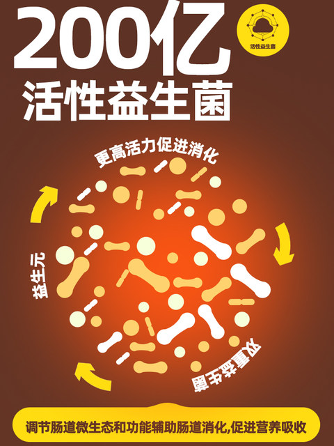 Hamsia Grain Golden Silk Bear's snack probiotic hamster Harem's main ...