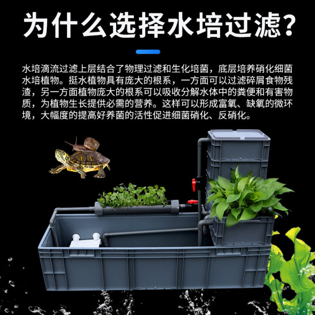 Turtle box swamp tank ecological tank large filter household fish tank ...