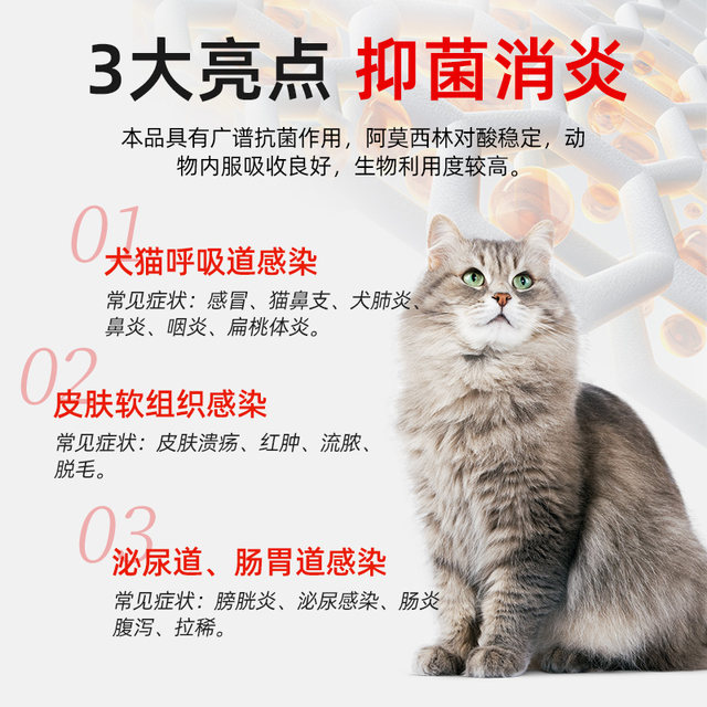 Amoxicillin tablets, anti-inflammatory medicine for cats and dogs, cold ...