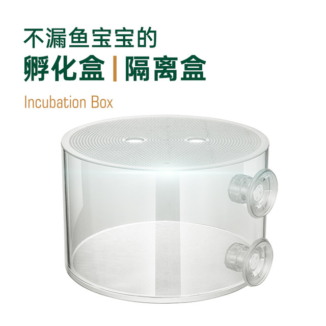 Flower fish guppy breeding box hatching box fish tank isolation box ...