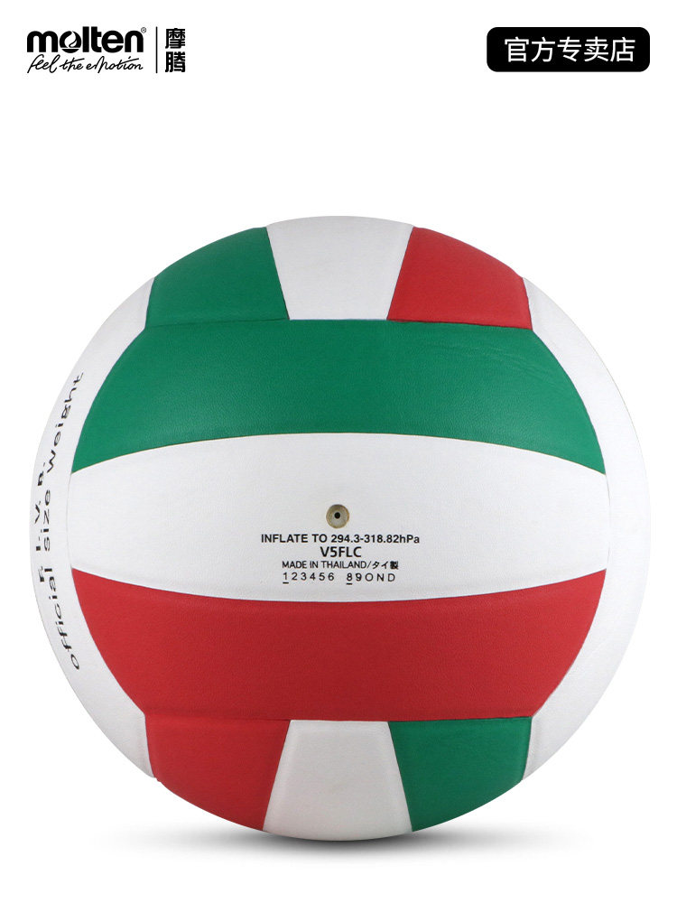 Molten V5flc Volleyball - Indoor Game Ball
