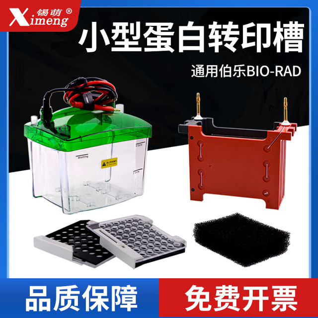 Domestic WB small transfer electrophoresis tank (wet transfer) protein ...