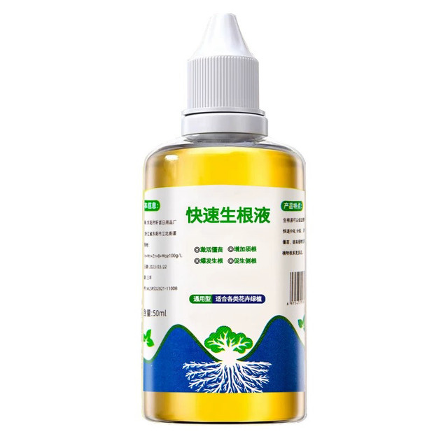 Quick Roots Green Plants General Cuttings Transplanting Flowers and ...